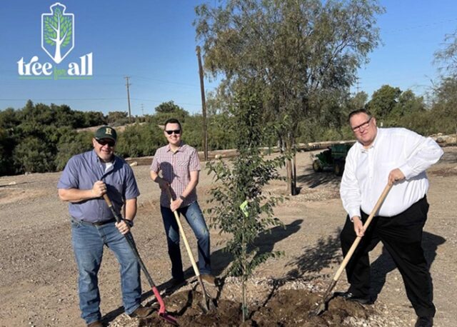 More Trees, Cooler Cities IID Launches $525K Grant Program for Public ...